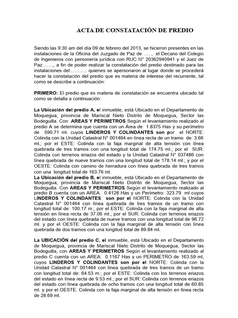 Acta de Constatación de Predio | PDF