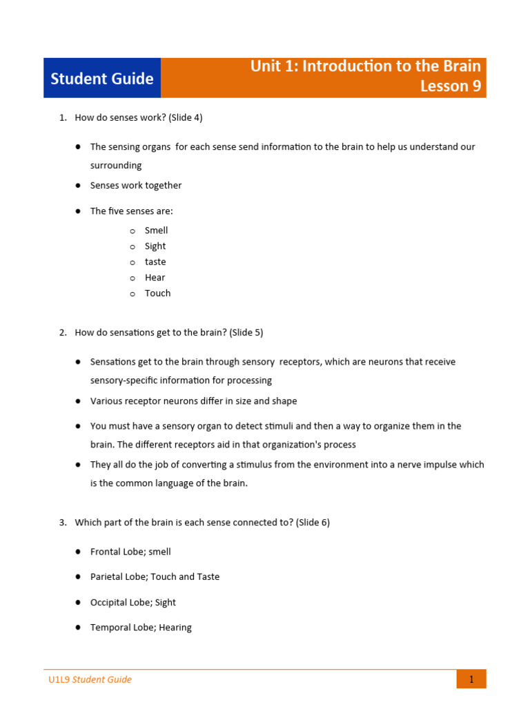 U1L9 (2023) Student Guide | PDF | Memory | Senses