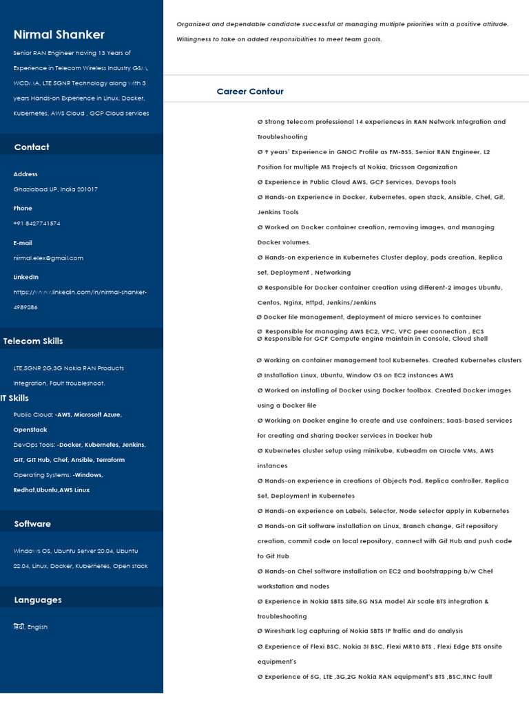 CV - Nirmal Shanker | PDF | Information Technology | Computer Networking