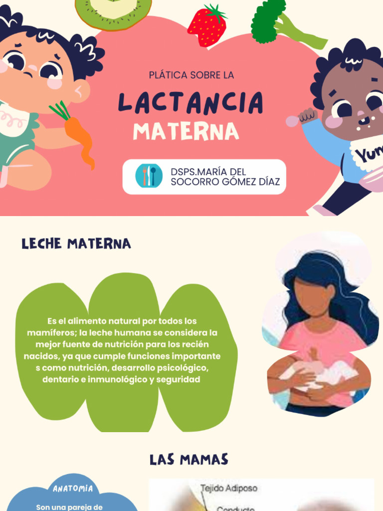 Lactancia Materna - 103344 | PDF