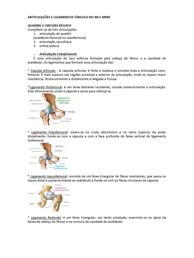 Articulacoes e Ligamentos Cingulo Do Mi e Mmii | PDF | Joelho | Quadril