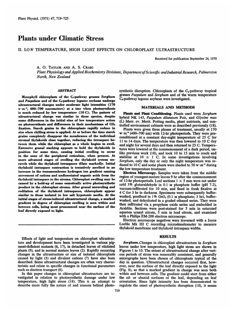Daño Por Frio en Paspalum Paper de 1970 | PDF | Chloroplast ...
