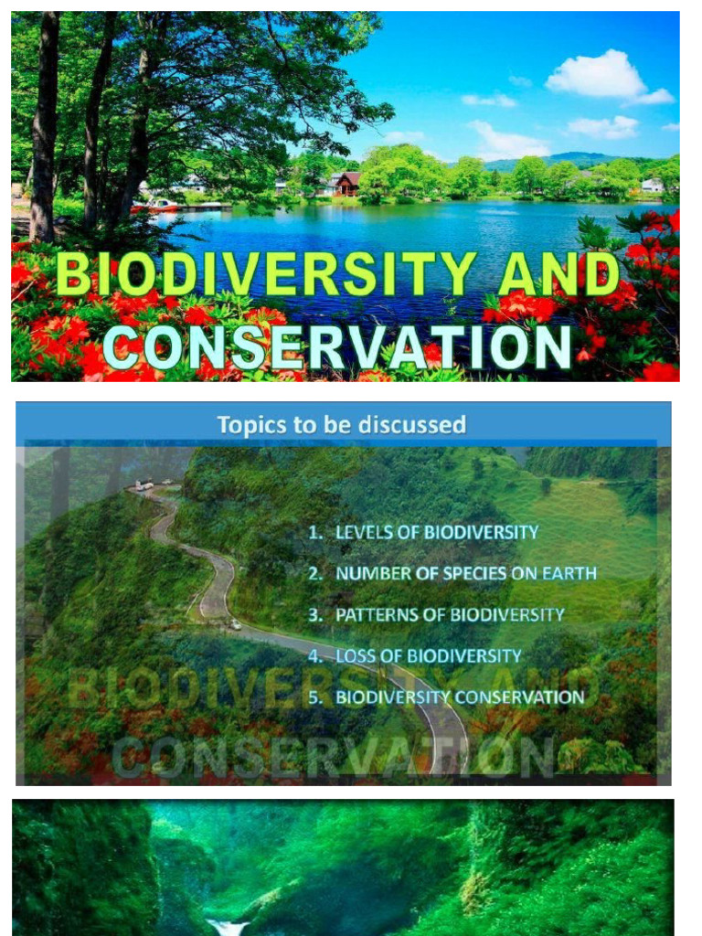 Biodiversity and Conservation | PDF