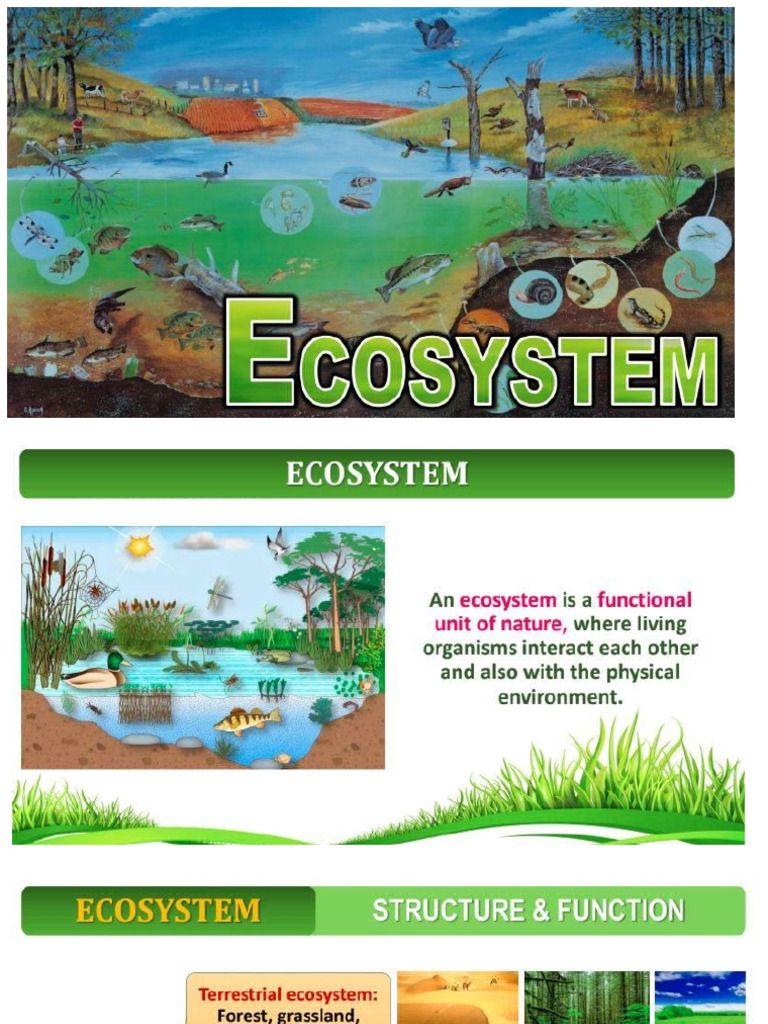 Ecosystem | PDF