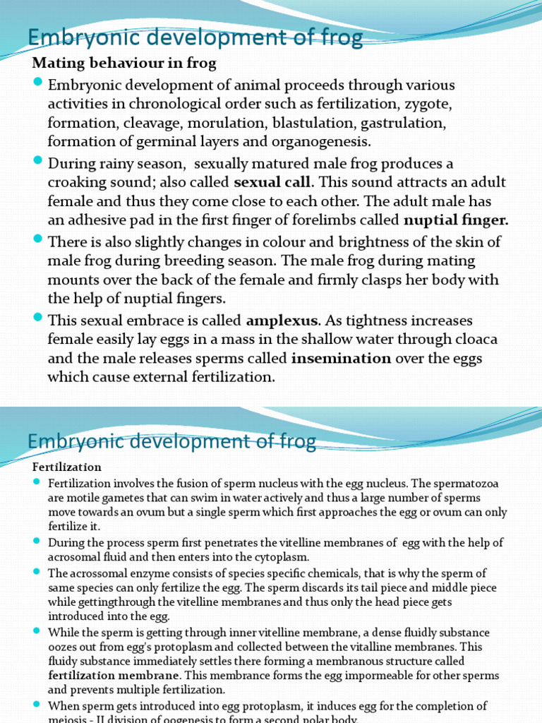 2. Embryonic development of frog (2) | PDF | Embryo | Fertilisation