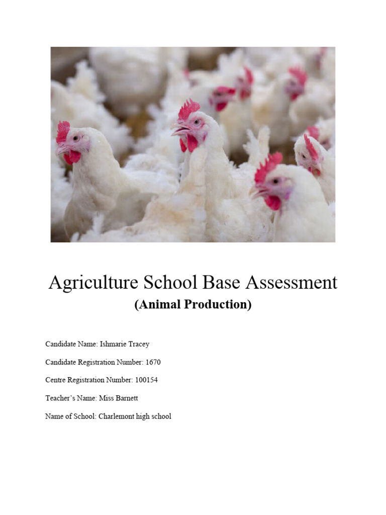 Agricultural Science 2 | PDF | Broiler | Chicken