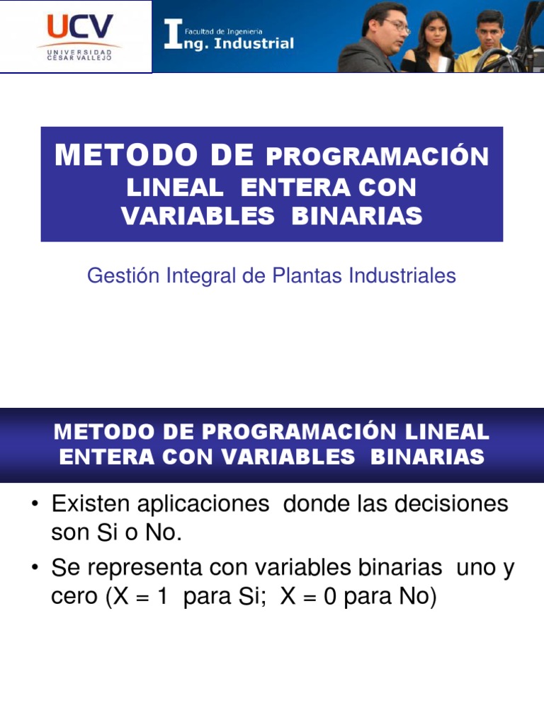 Método Programación Lineal Entera | PDF | Programación lineal | Energía ...