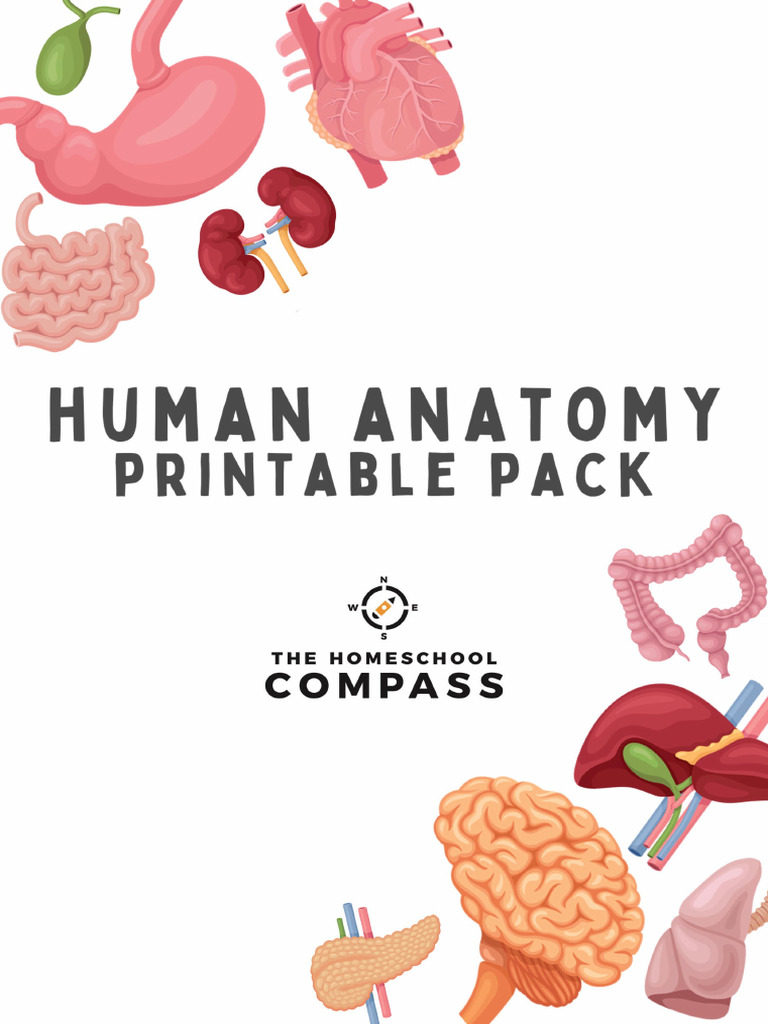 Human Anatomy PDF | PDF