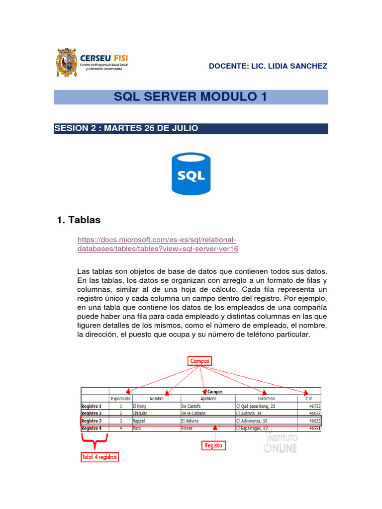 SQL Server: Tablas y DML Básico | PDF | Arte | Informática