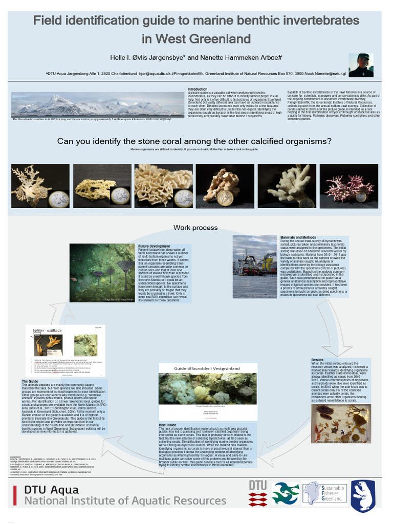Field Identification Guide To Marine Benthic Invertebrates in West ...