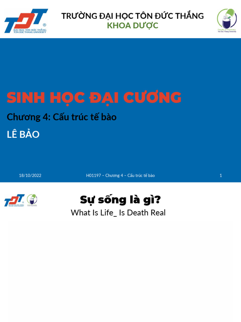 SHDC Chương 4 | PDF