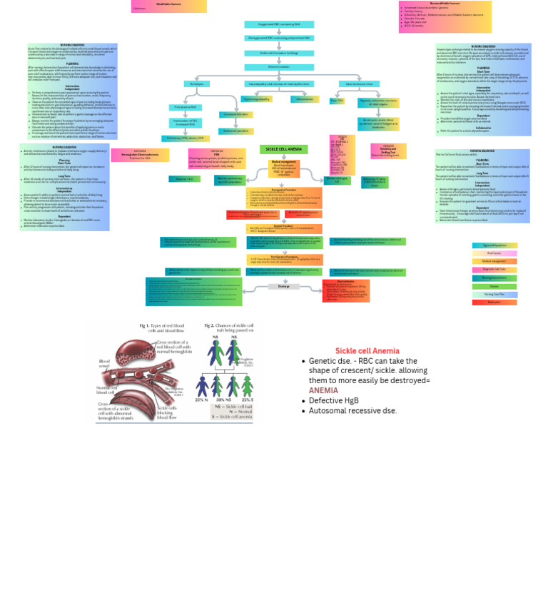 Sickle Cell Anemia Ob 109 | PDF | Hematopoietic Stem Cell ...