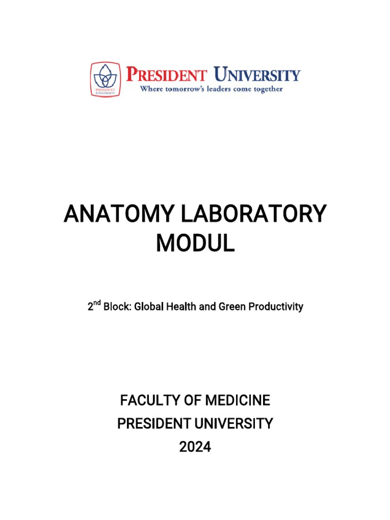 Laboratory Activity of Anatomy - Module - Block 3 | PDF | Somatosensory ...