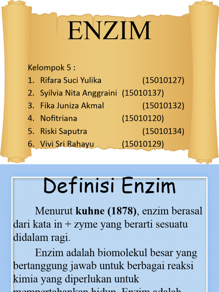 Enzim Biokimia Kelompok | PDF