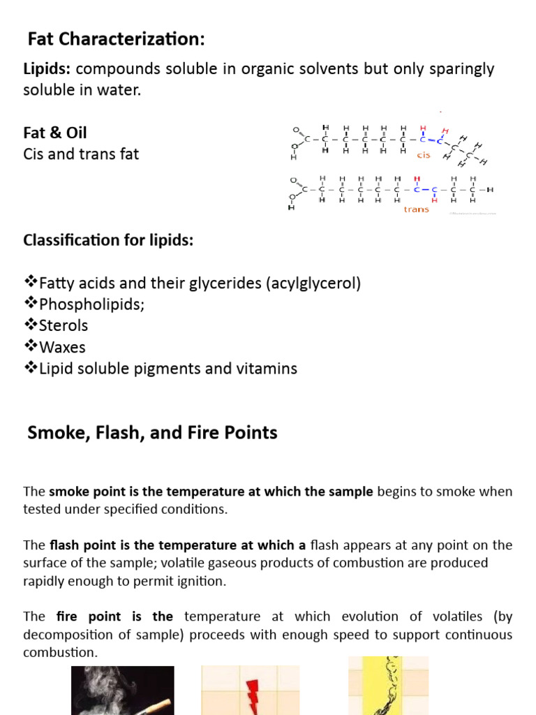 Comprehensive Guide to Fat Characterization | PDF | Fat | Chemical ...