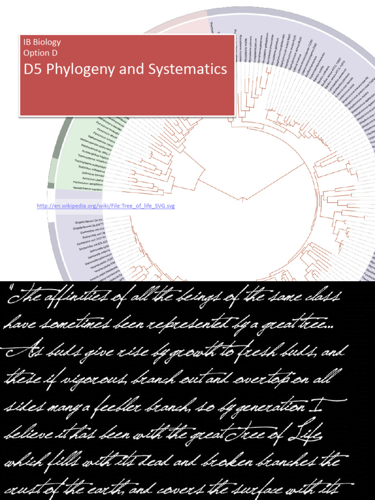 Phylogeny and Systematics | PDF | Taxonomy (Biology) | Proteins