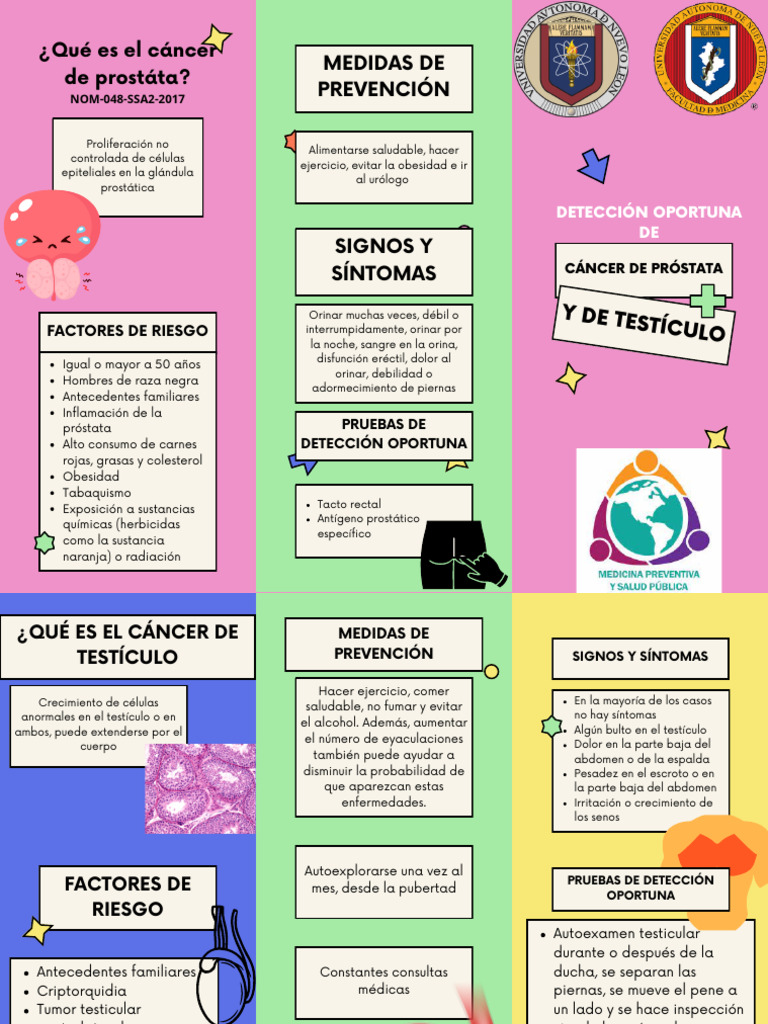 Triptico DOC de Prostata y de Testículo DECO | Descargar gratis PDF ...