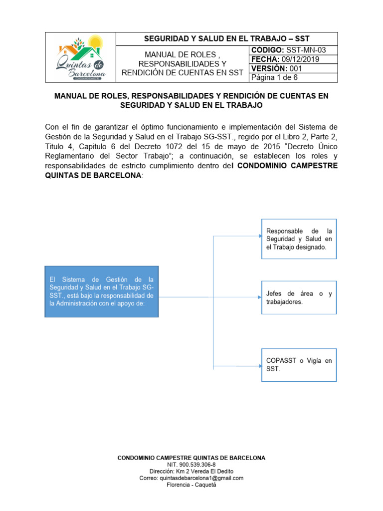 SST-MN-03 Manual de Roles, Responsabilidades y Rendición de Cuentas en ...