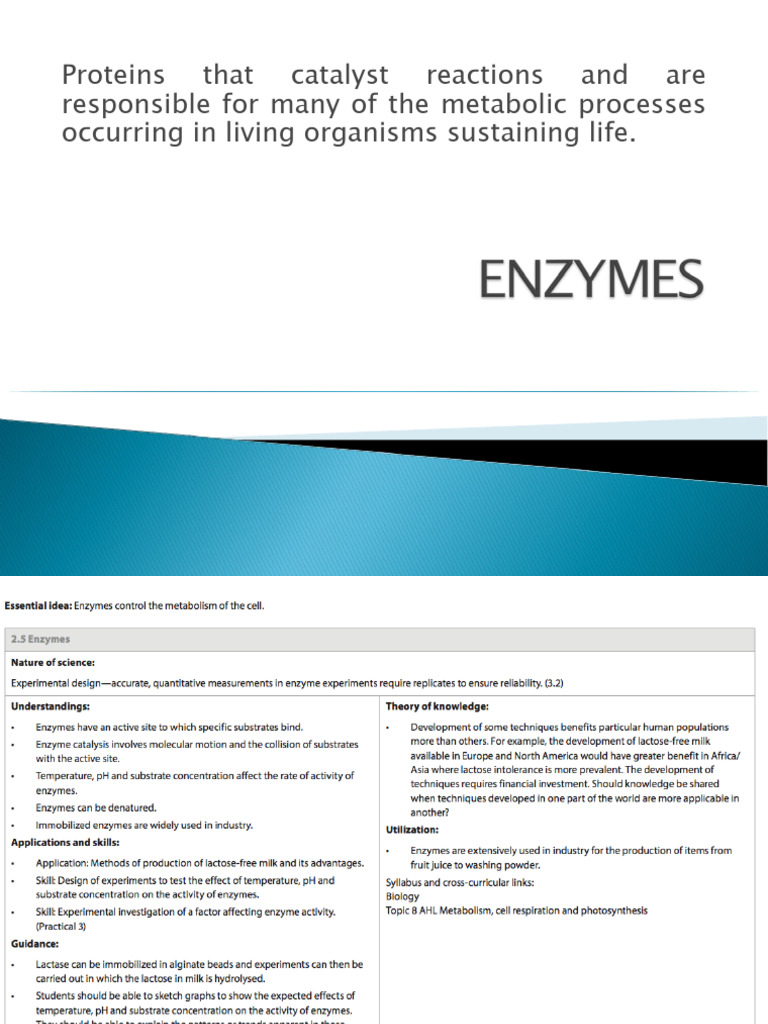 Enzymes | PDF | Enzyme | Enzyme Inhibitor