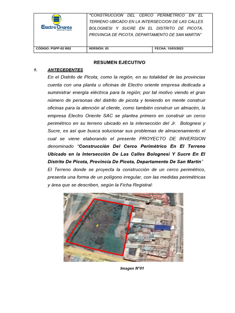 RESUMEN EJECUTIVO | PDF | Business | Economias