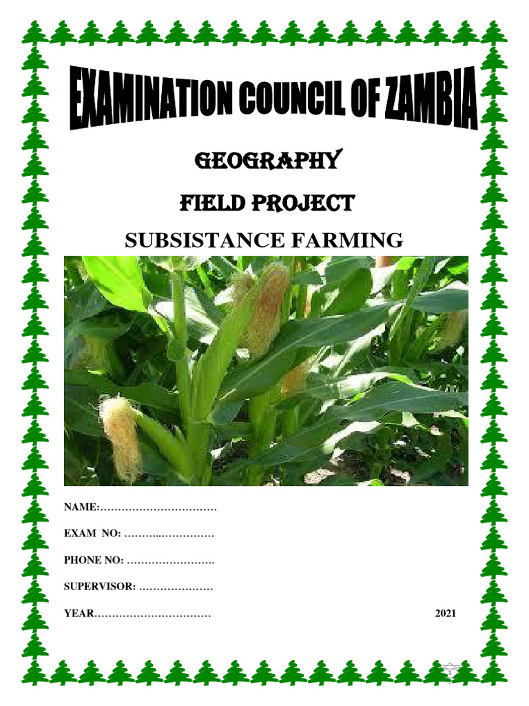 Field Project - Subsistence Farming in Kapiri Sample | PDF ...