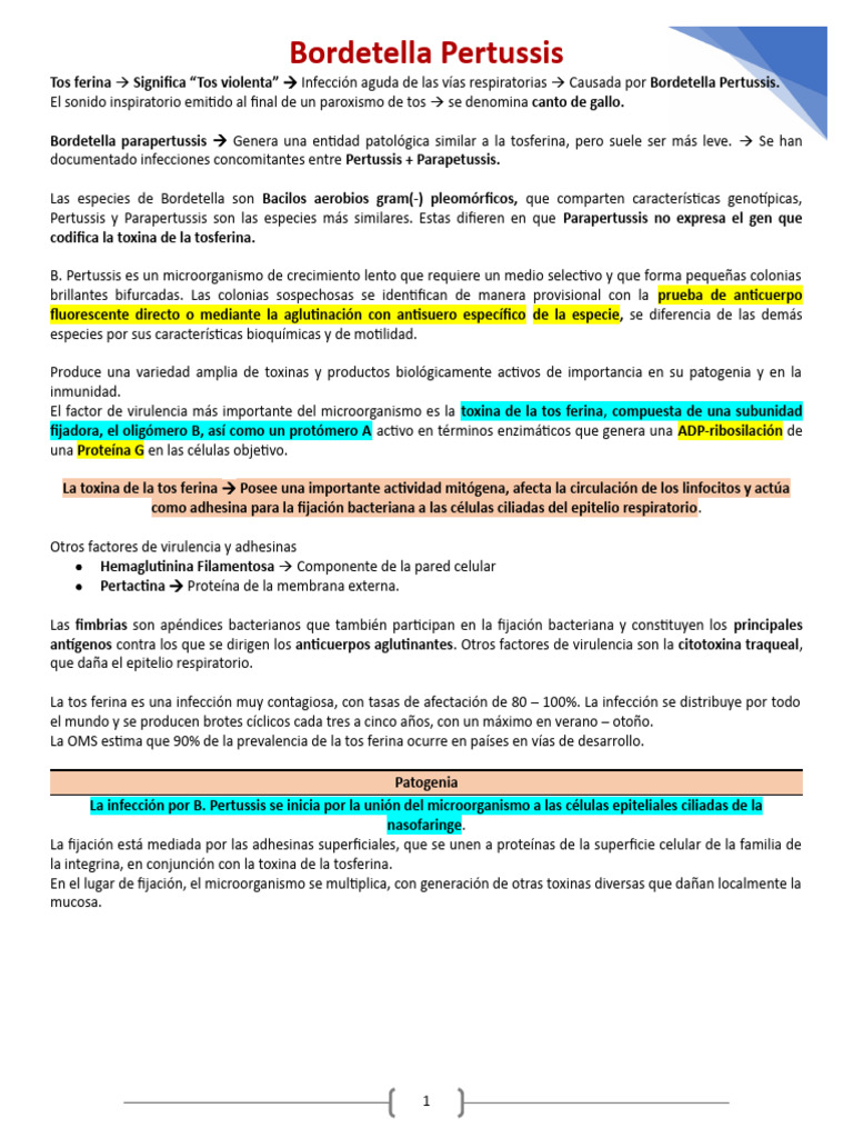 Bortedella Pertussis | PDF | Biología | Inmunología