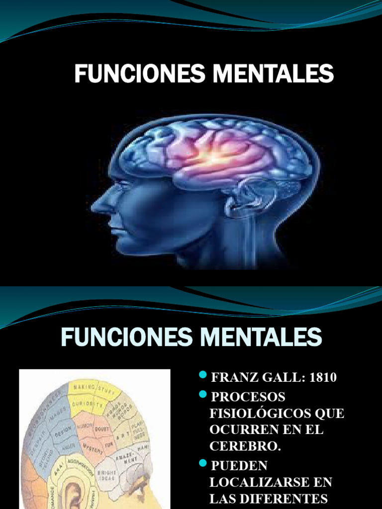 Funciones-mentales-(1) | PDF | Cerebro | Sentidos