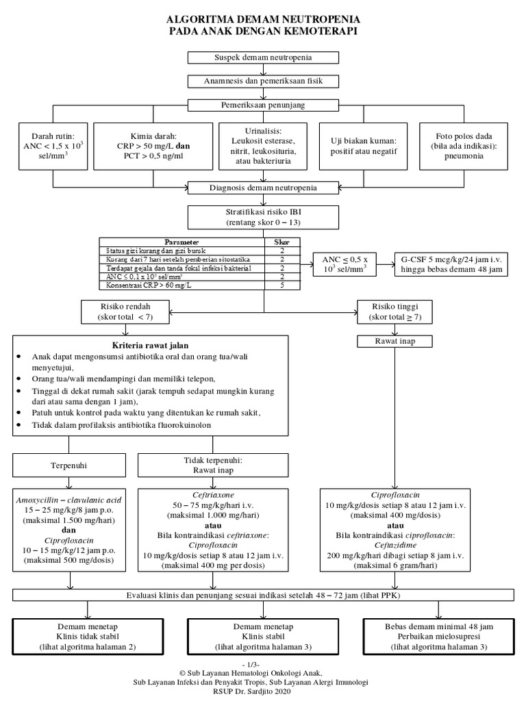 Algoritma Demam Neutropenia Anak | PDF