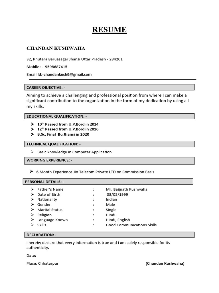 Chandan Kushwaha Resume | PDF