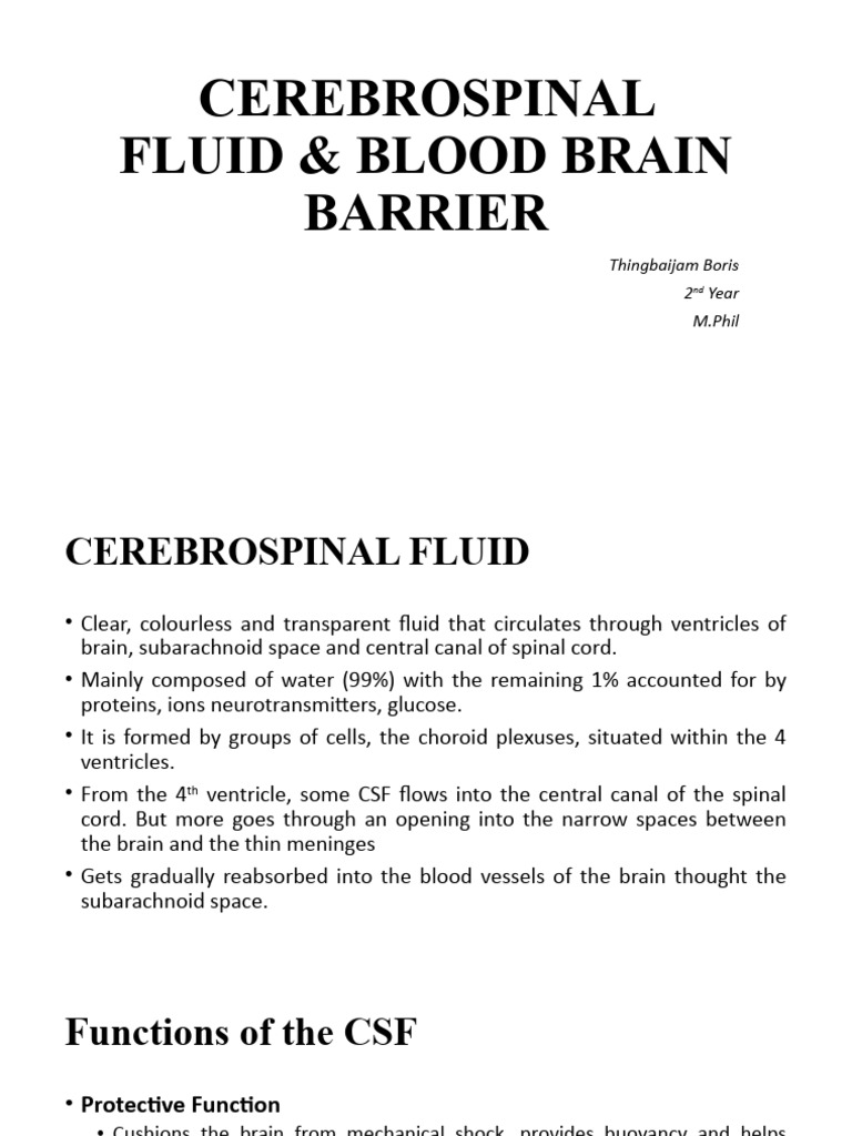Cerebrospinal Fluid & Blood Brain Barrier | PDF | Cerebrospinal Fluid ...