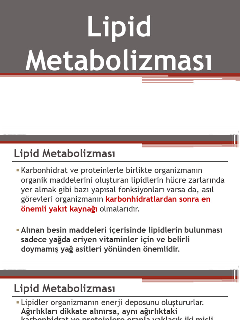 7. Lipid Metabolizmasi | PDF