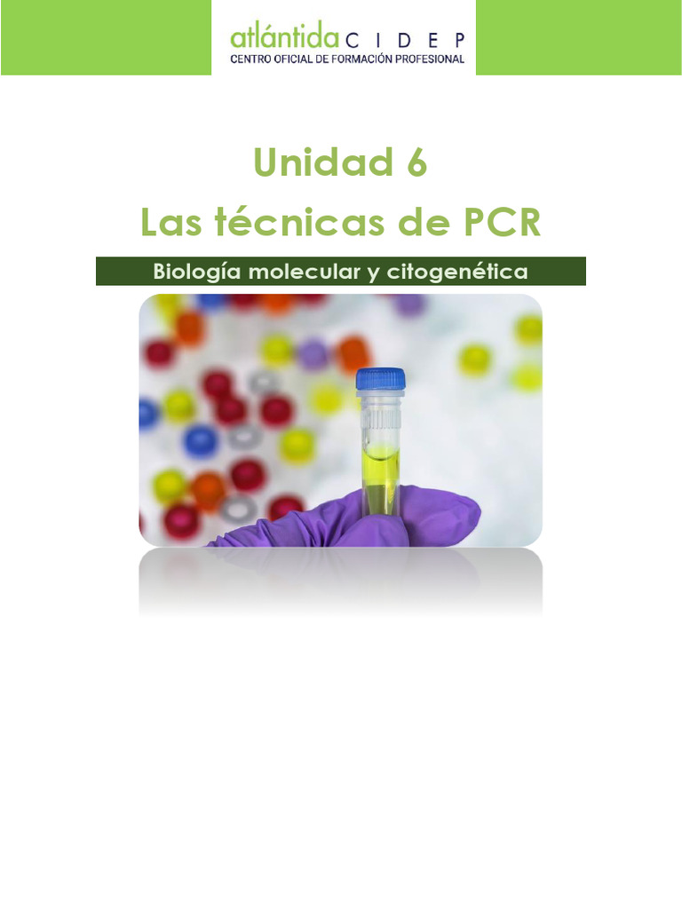 Unidad 6 Las Técnicas de PCR: Biología Molecular y Citogenética | PDF ...