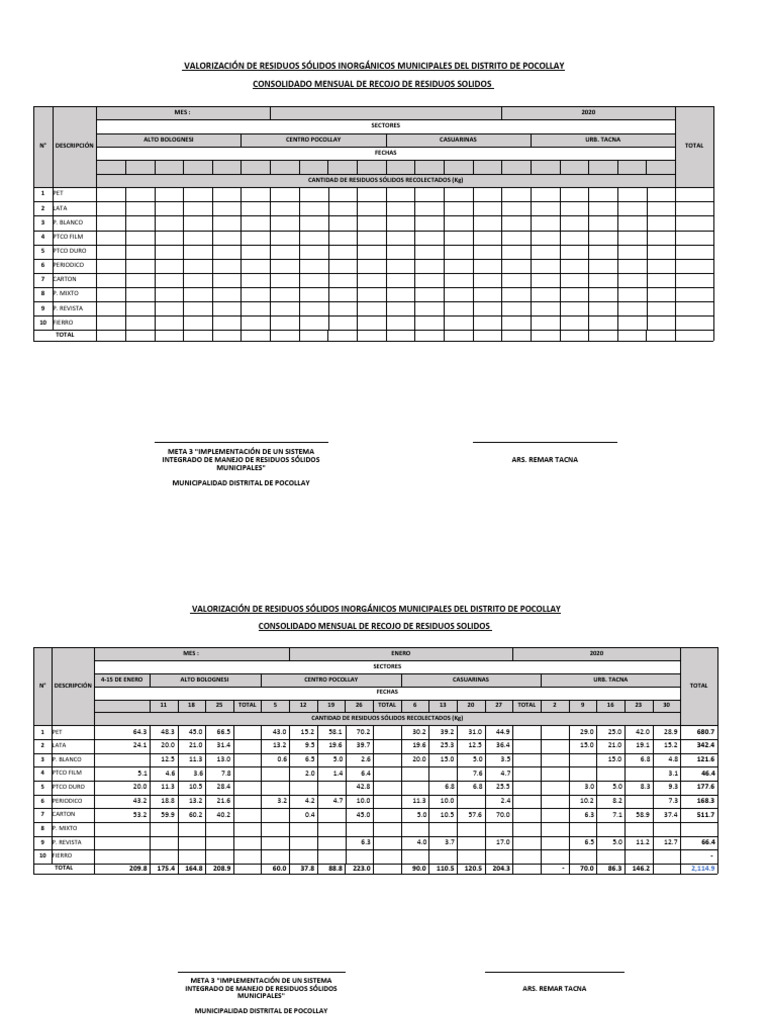 Consolidado Mensual REA 21 | PDF