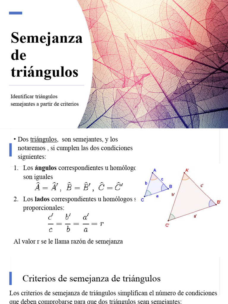 Semejanza de triángulos | PDF | Triángulo | Geometría del plano euclidiano