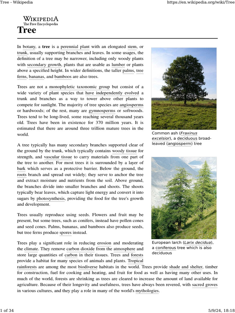 Tree - Wikipedia | PDF | Trees | Organisms