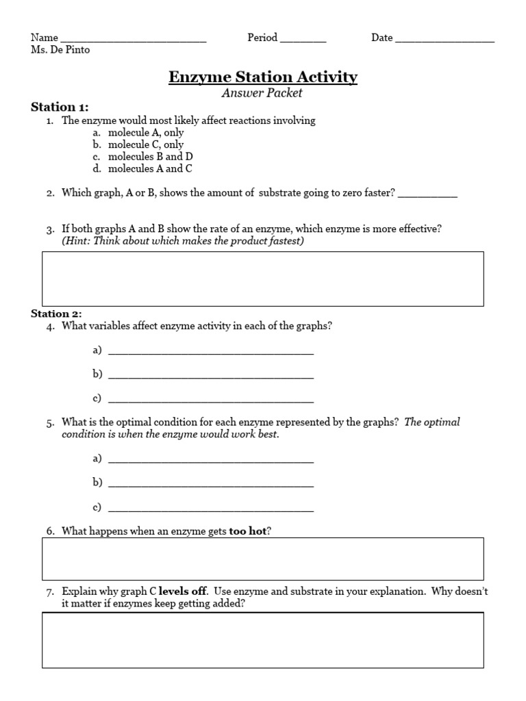 13 - Enzyme Station Activity Answer Packet 2 | PDF | Enzyme | Enzyme Assay
