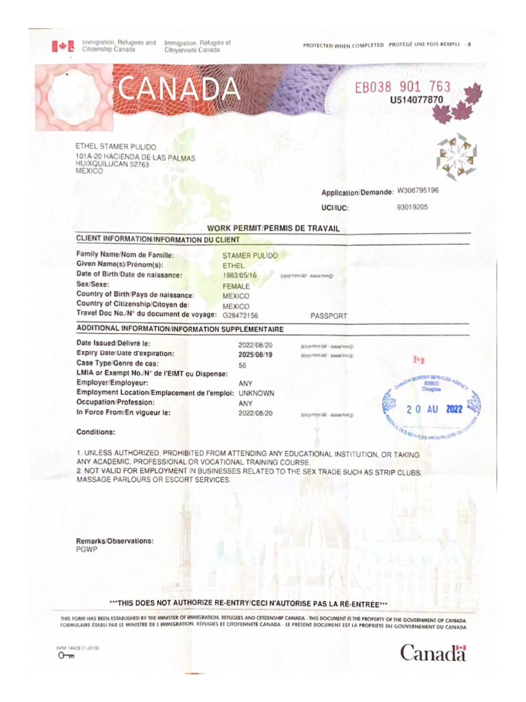Work Permit | PDF