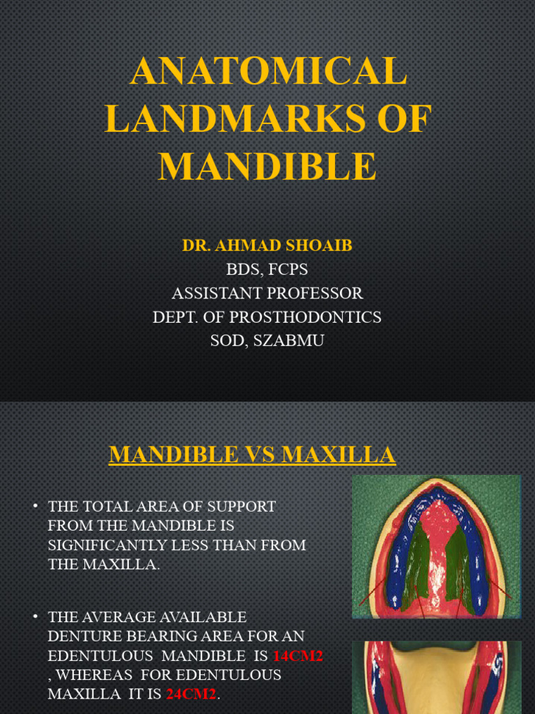 Anatomical Landmarks of Mandible | PDF | Tongue | Anatomical Terms Of ...
