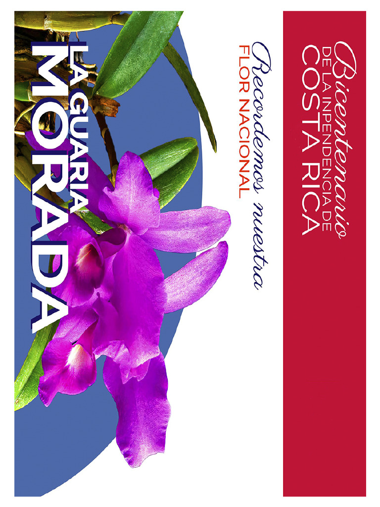 Tabloide Folcote 5 | PDF