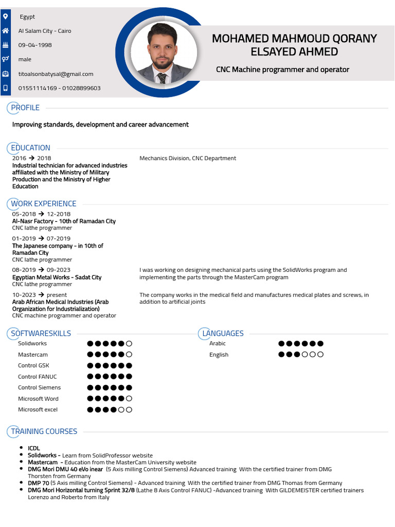 Mohamed Mahmoud CV English | PDF | Secondary Sector Of The Economy ...