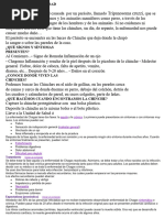 Triatominos: Vectores de Chagas | PDF | Biología