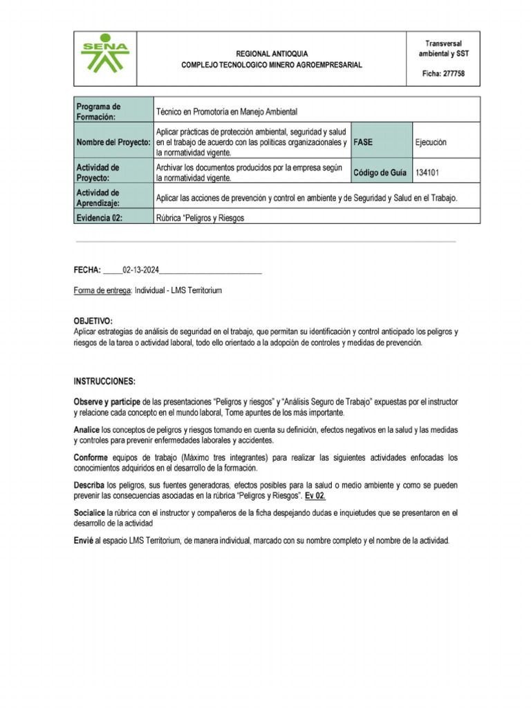 EV02-Rúbrica Peligros y Riesgos | PDF
