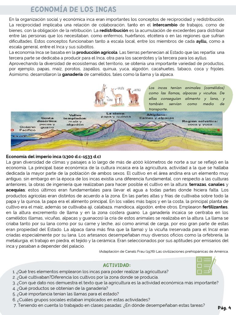 Economía y Agricultura Incaica | PDF | Imperio Inca | Agricultura