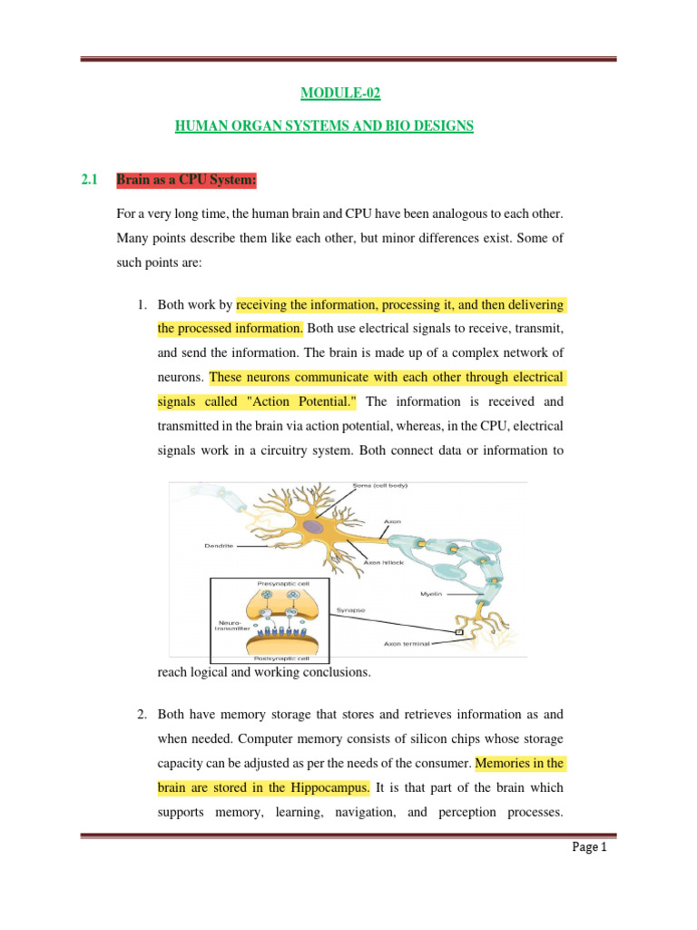 Module 2 Revised Notes Nov 2023.edited BFE | PDF | Heart | Tissue ...