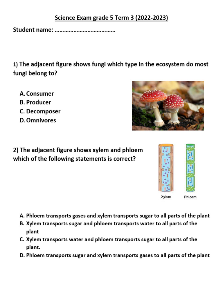 Grade 5 Science Exam Questions | PDF | Plants | Water