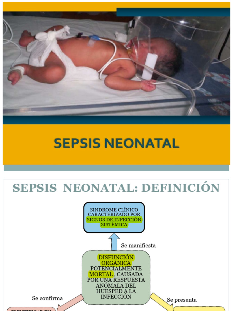 Sepsis Neonatal | PDF | Septicemia | Infantes