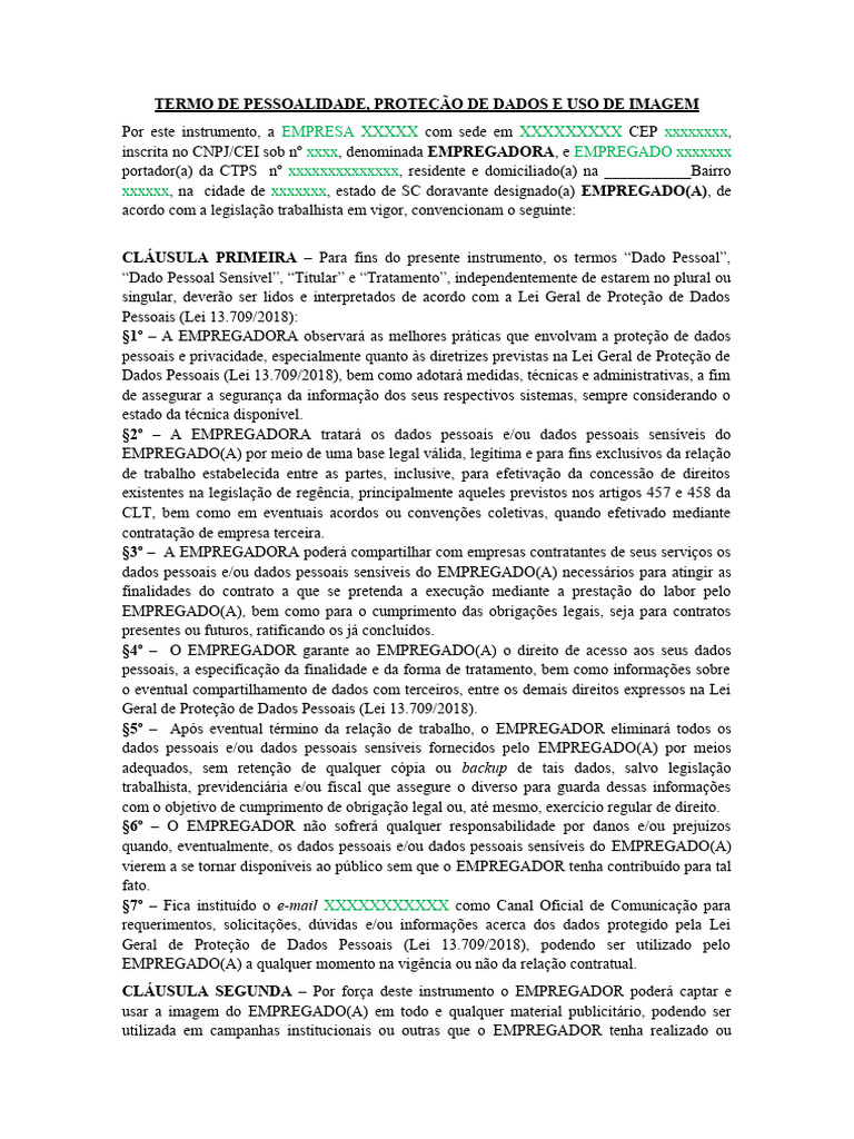 Termo Uso de Imagem | PDF