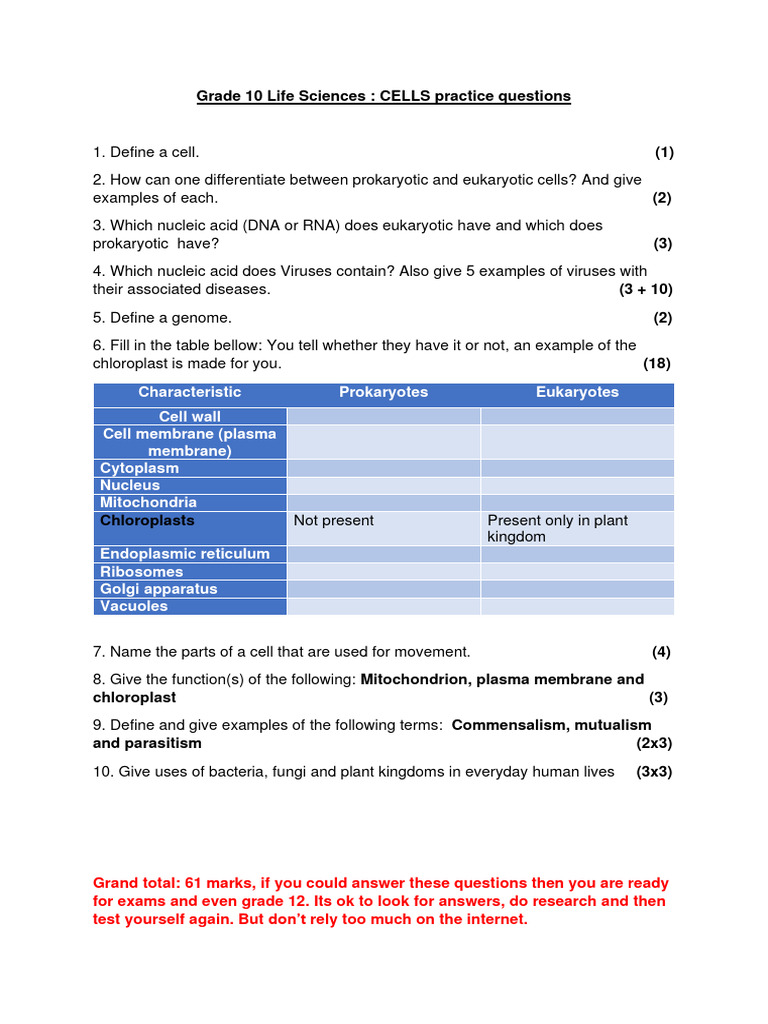 Grade 10 Cells Practice Questions | PDF