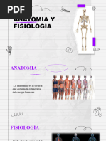 Planos Anatómicos: Sagital, Frontal, Transversal | PDF | Términos ...