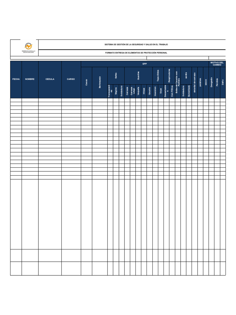 FT. Formato de Entrega Individual de EPP | PDF